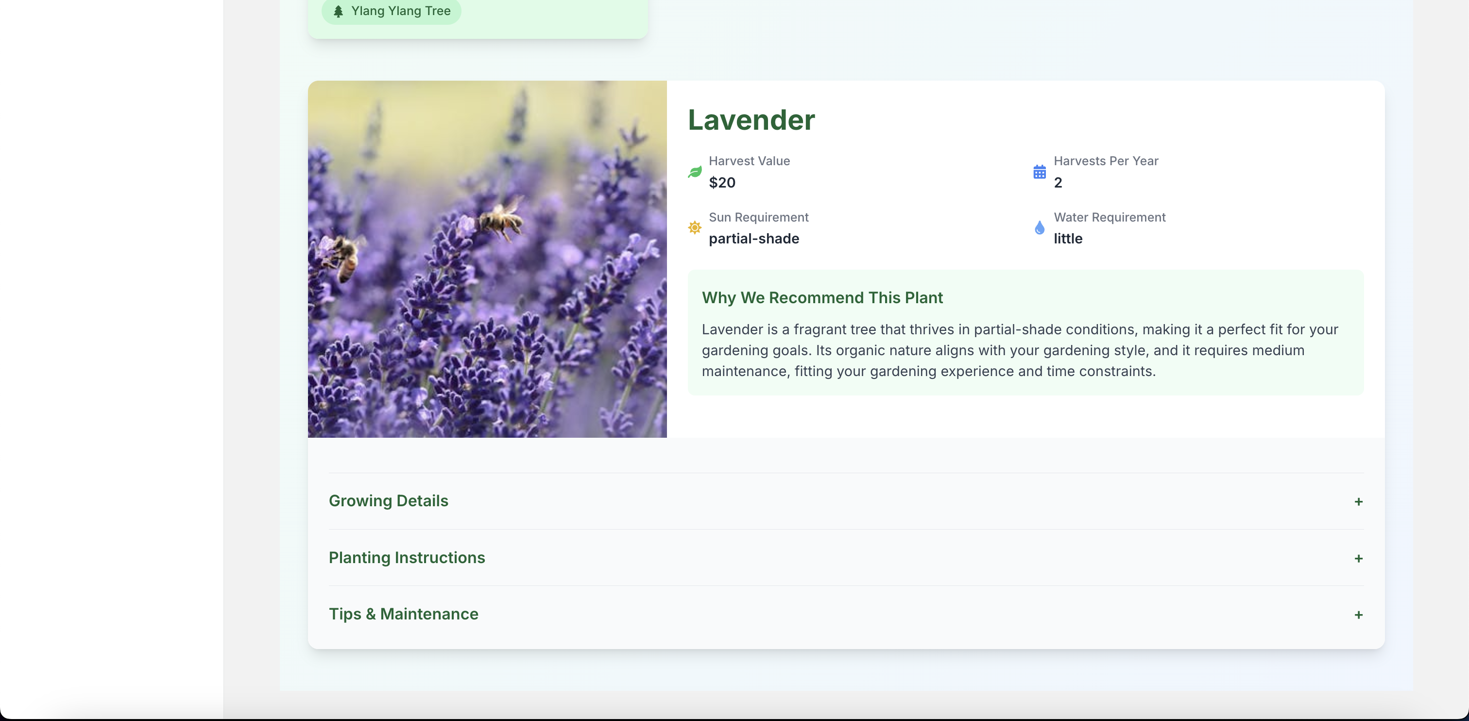 AI Garden Design · Transform Your Garden - AIGardenPlanner